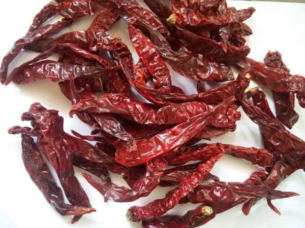 Byadagi Chilli (Byadgi Chilli) of Karnataka