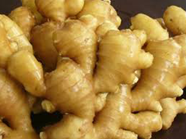Assam Karbi Anglong Ginger