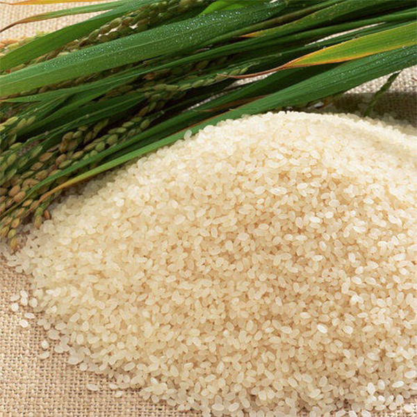 Joha Rice of Assam