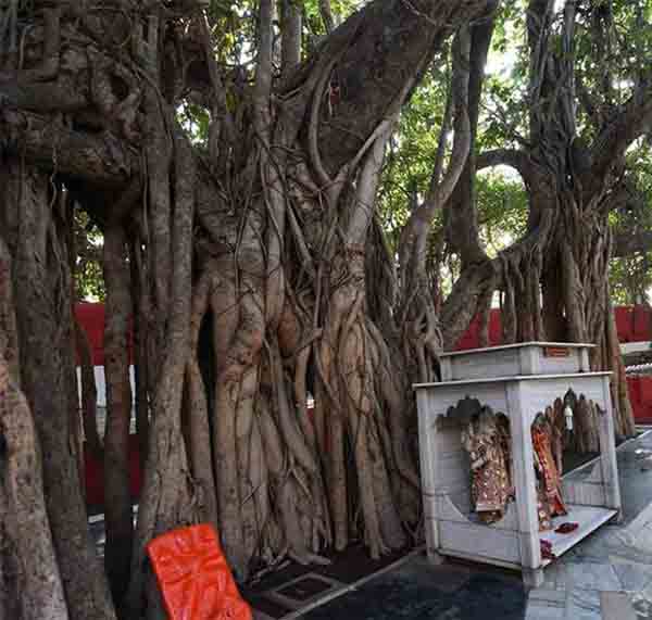 Patalpuri Mandir and Akshayavat, Prayagraj, Uttar Pradesh