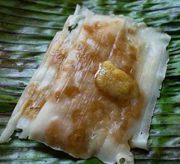 Shimoga Genasale