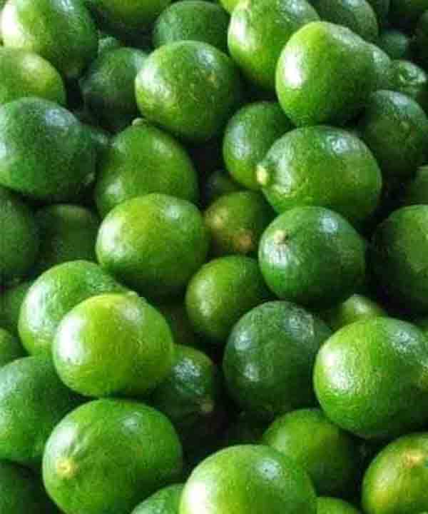 Vijayapura Kagzi Lime/Lemon