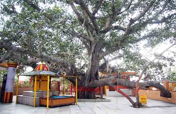 Akshayavat and Shukdev Ashram, Shukratal, Muzaffarnagar District, Uttar ...