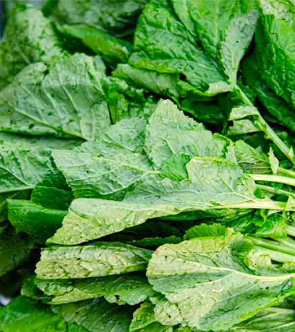 Mizo Vegetable Mustard