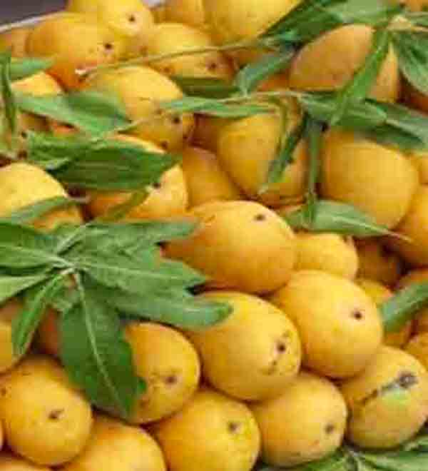 Nagarkurnool Mango based Products