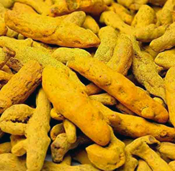 Rewa Turmeric