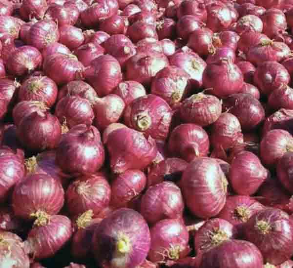 Ujjain Onion