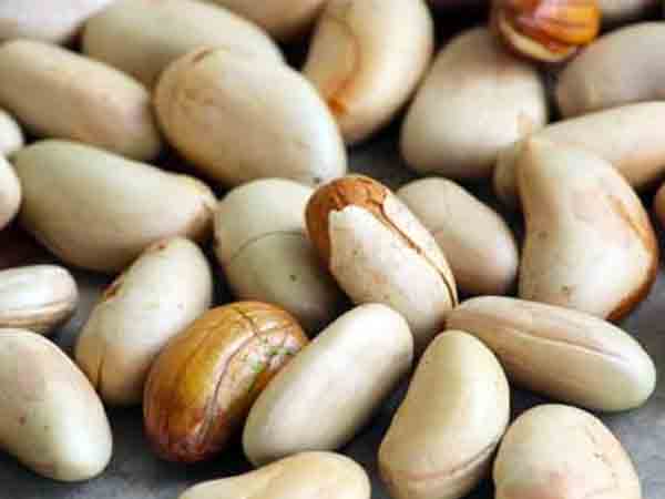 Jackfruit Seed Powder